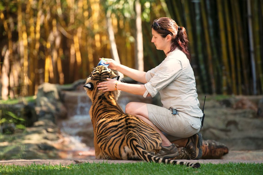 The best zoos in Australia | BIG4.com.au