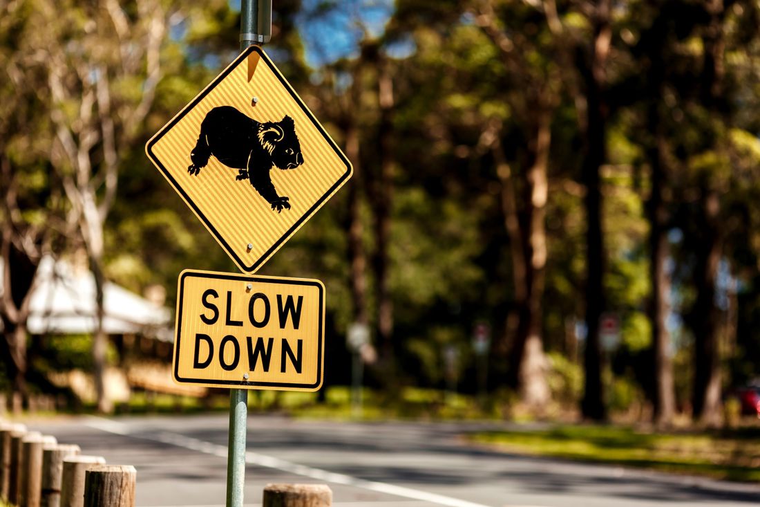 Road signs you’ll only see in Australia | BIG4.com.au