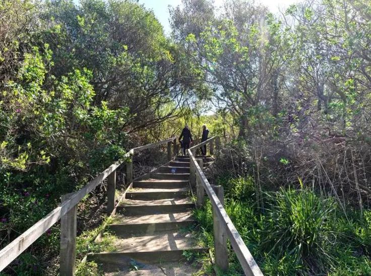 Natural Bush Setting | Ingenia Holidays Cape Paterson