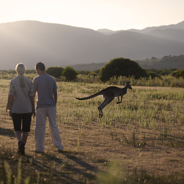 BIG4 Wilsons Prom Holiday Park | Book Direct & Save With BIG4