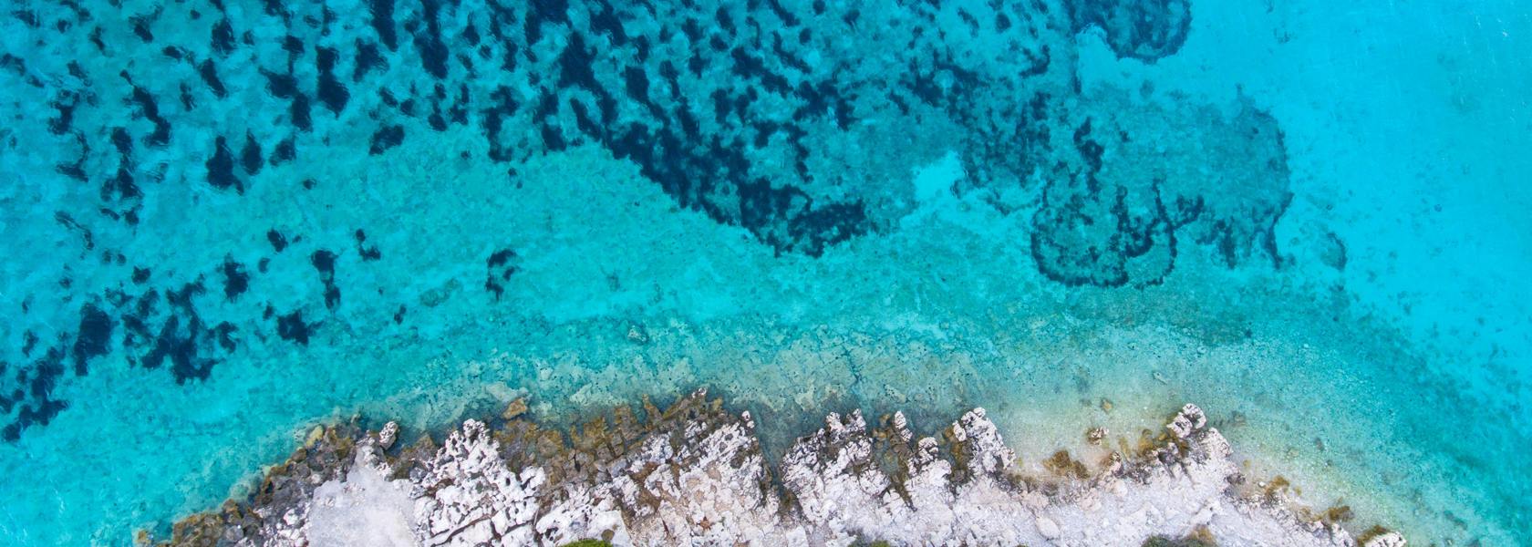 8 things to do on the Coral Coast | Book Direct and Save