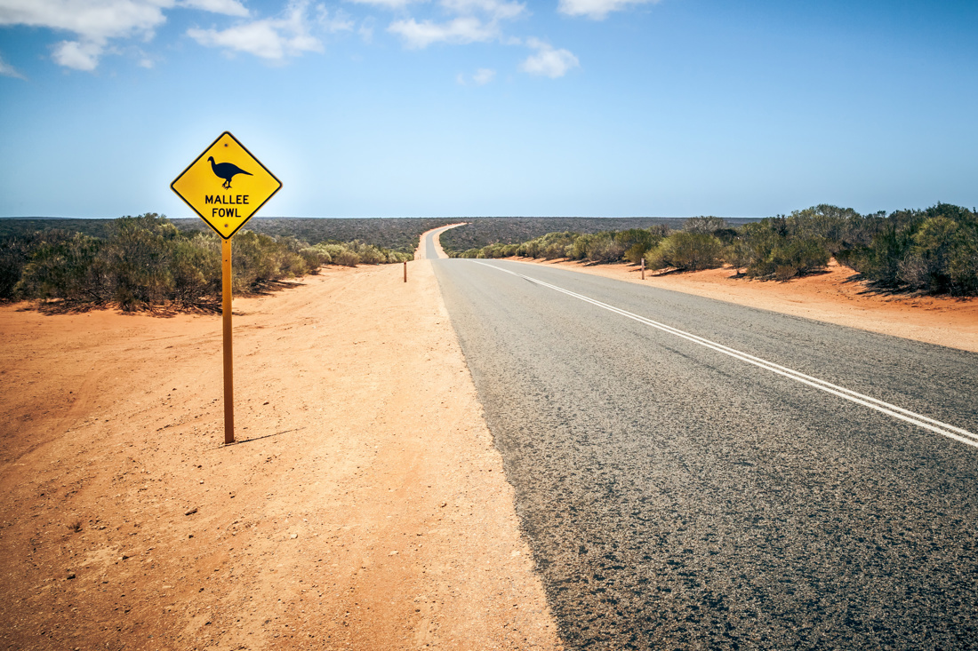 Road signs you’ll only see in Australia | BIG4.com.au