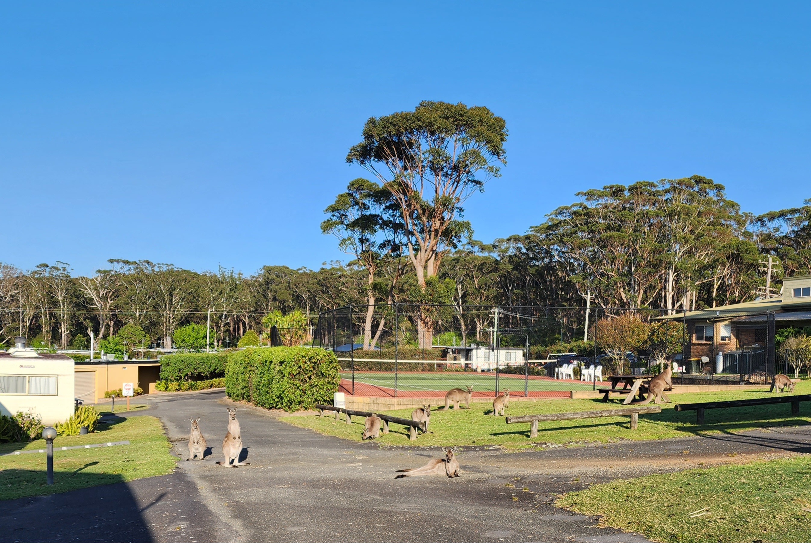 Joalah Holiday Park - Durras North | Book Now With BIG4