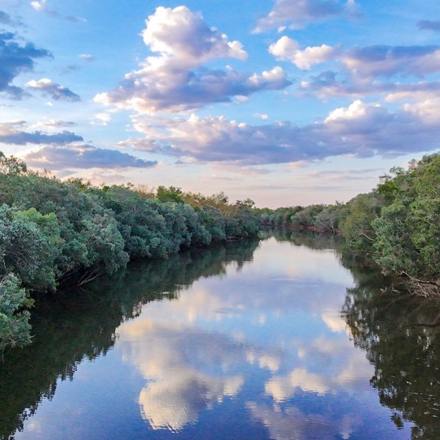 Mary River Wilderness Retreat | Book Now With BIG4
