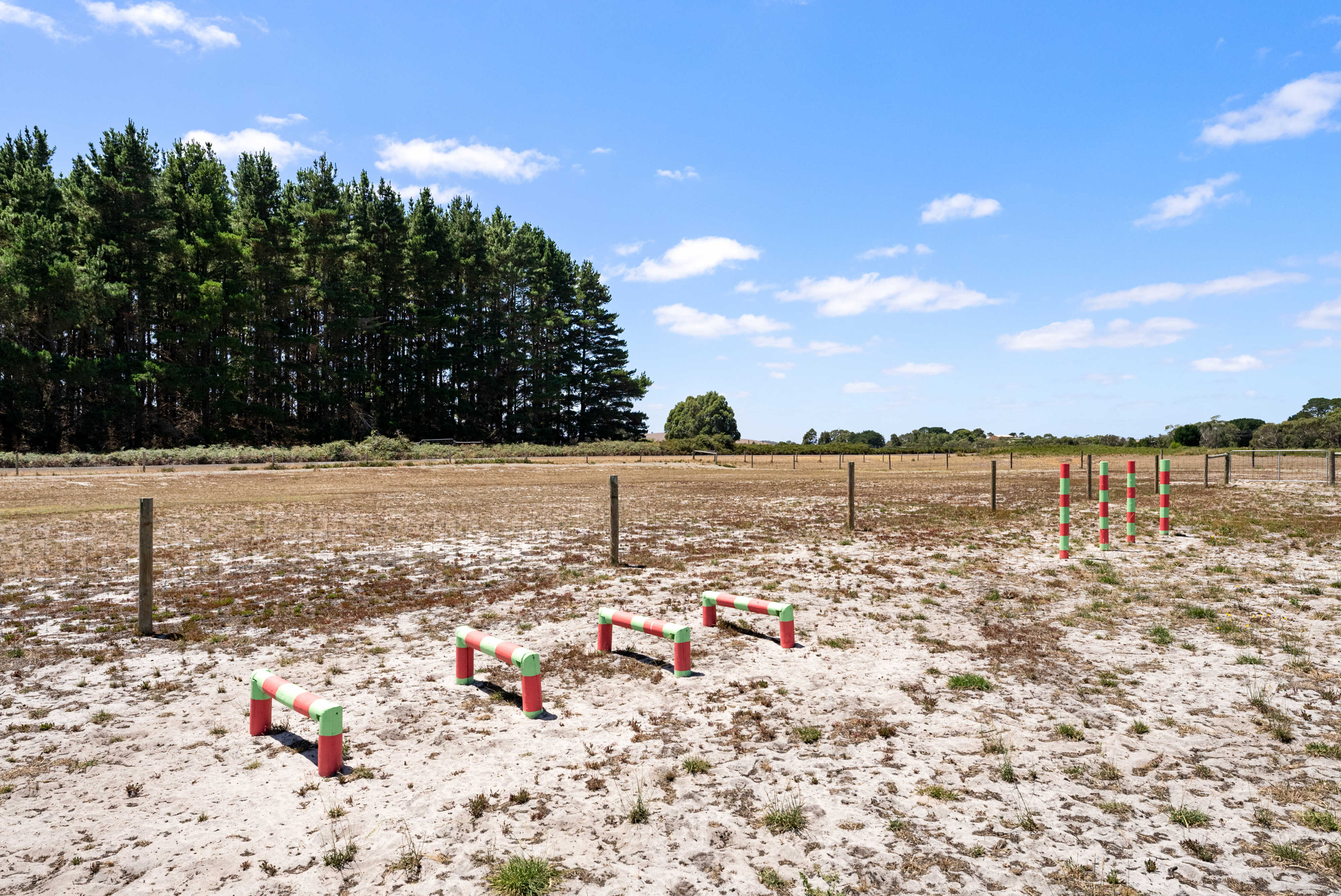 Dog Park | BIG4 Mount Compass Caravan Park