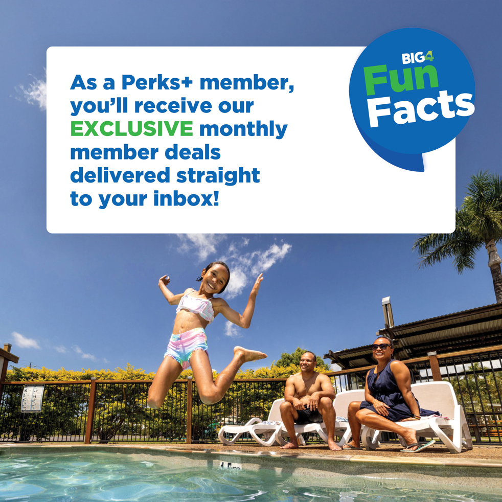 BIG4 Fun Facts