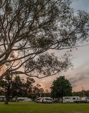 Merimbula | Book Direct and Save