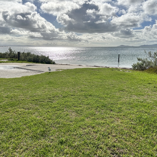 BIG4 Wilsons Prom Holiday Park | Book Direct & Save With BIG4