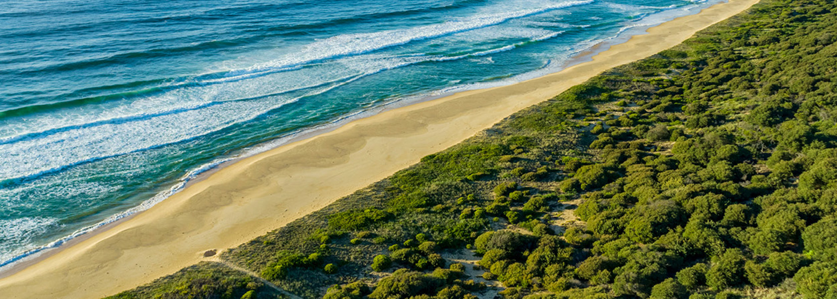 Wairo Beach Holiday Park | Book Now With BIG4
