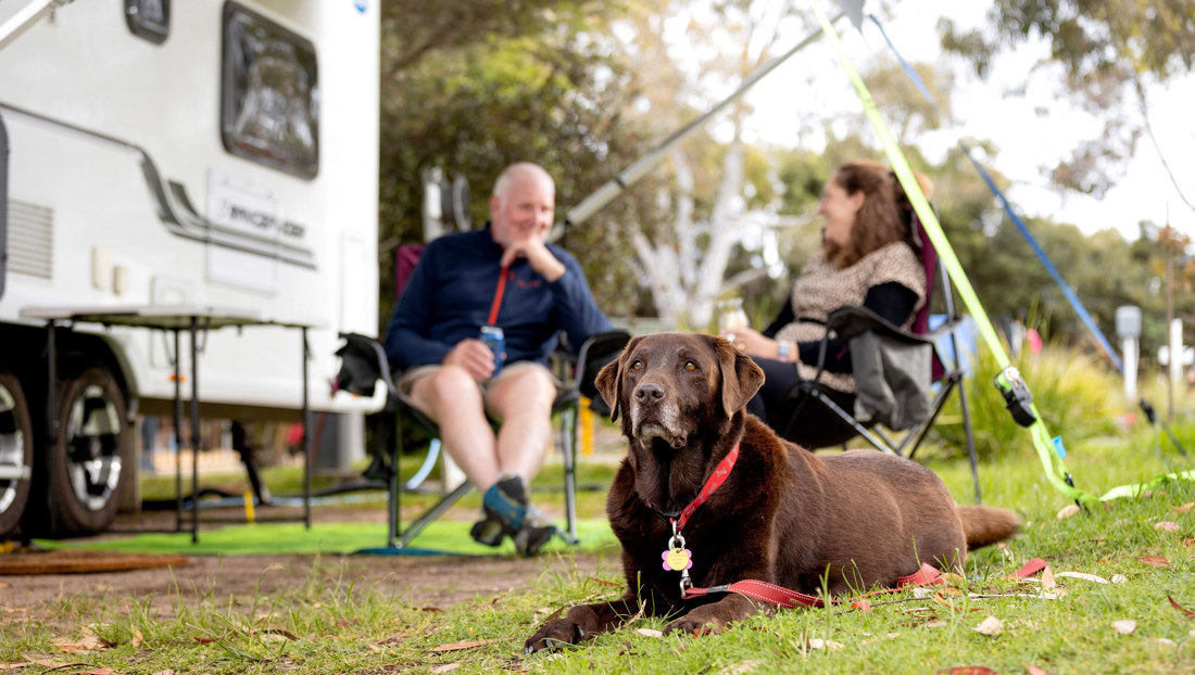 What BIG4 gift cards really look like | BIG4.com.au