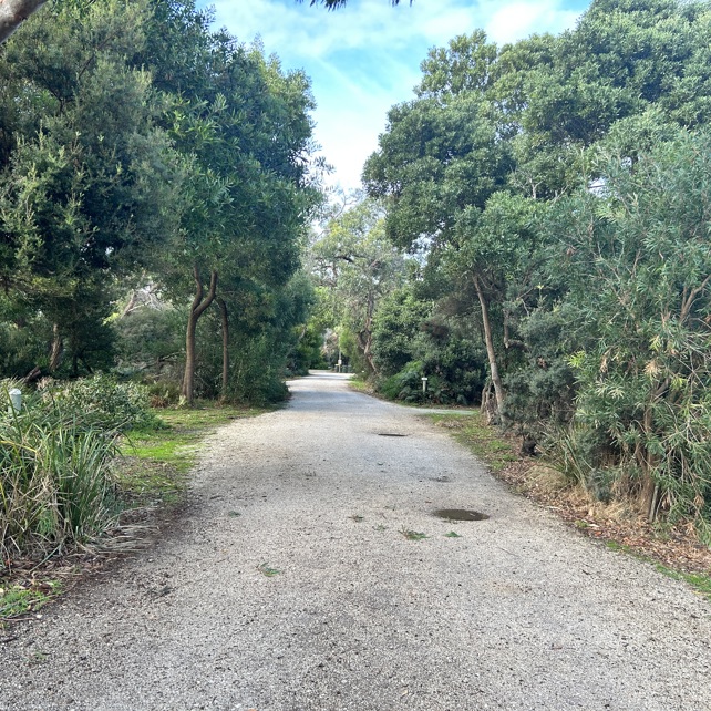 BIG4 Wilsons Prom Holiday Park | Book Direct & Save With BIG4