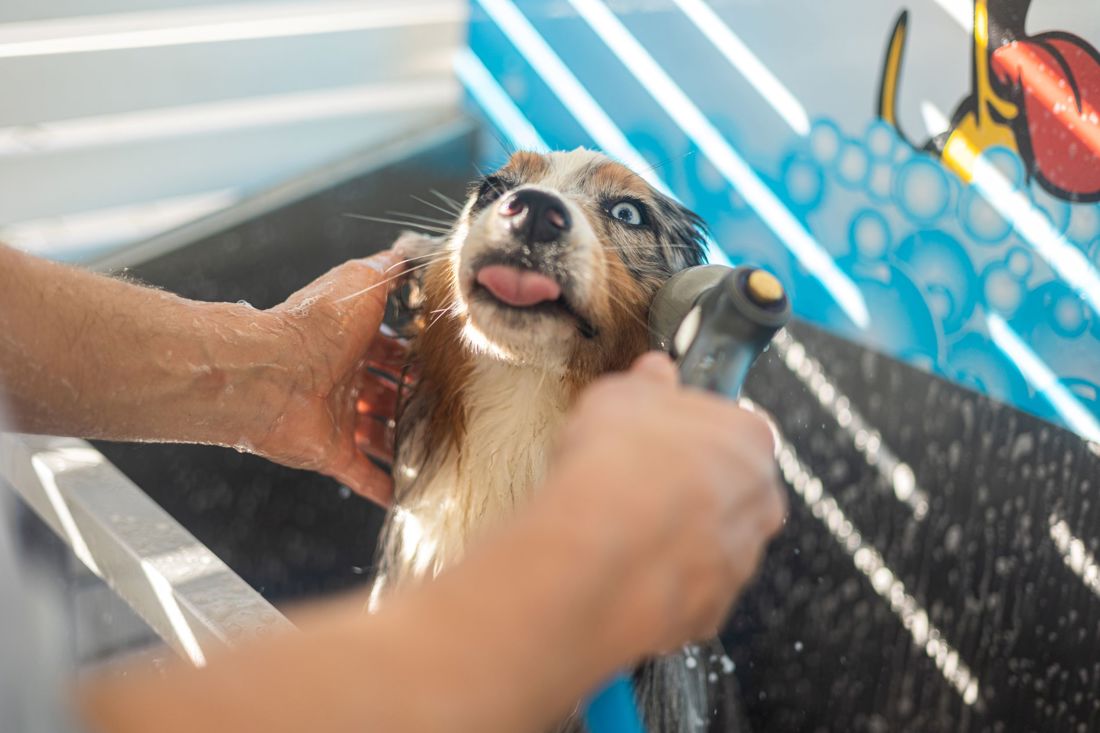 What BIG4 gift cards really look like | BIG4.com.au