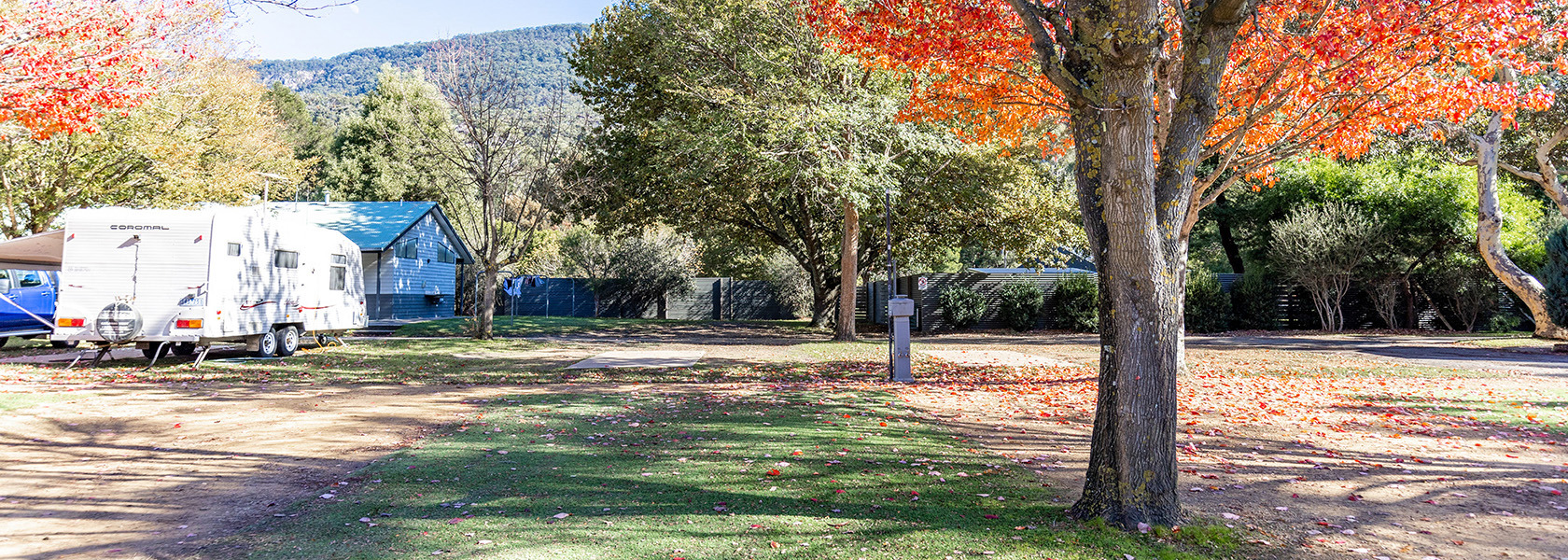 Powered Site - Grass | NRMA Halls Gap Holiday Park