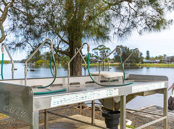 Fish Cleaning Area | NRMA Forster Tuncurry Holiday Park