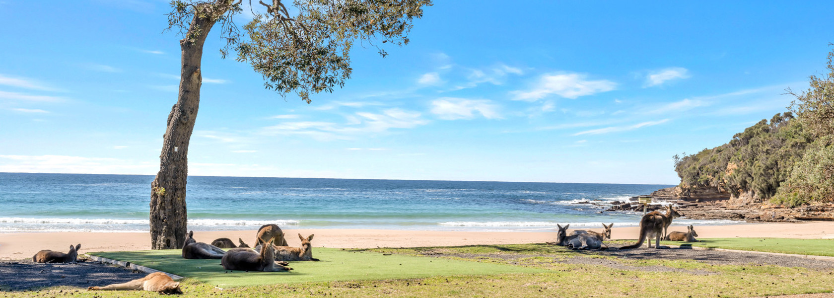 Beachfront Powered Site | Ingenia Holidays Merry Beach