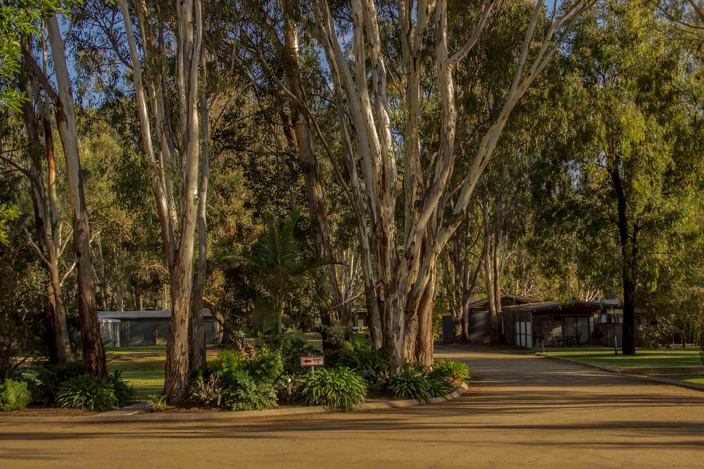 Early Bird | Ingenia Holidays Murray Bend