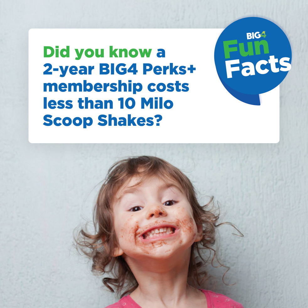 BIG4 Fun Facts