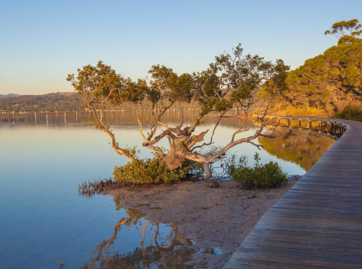 Merimbula Boardwalk | Merimbula Lake Holiday Park